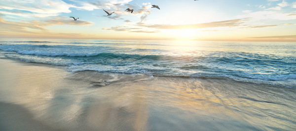 7 Ways to Celebrate World Oceans Month – Solgaard